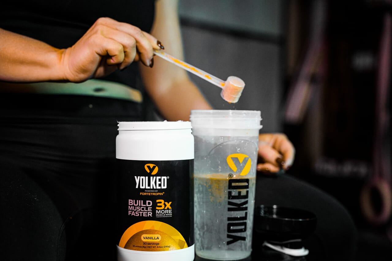Bundles – YOLKED
