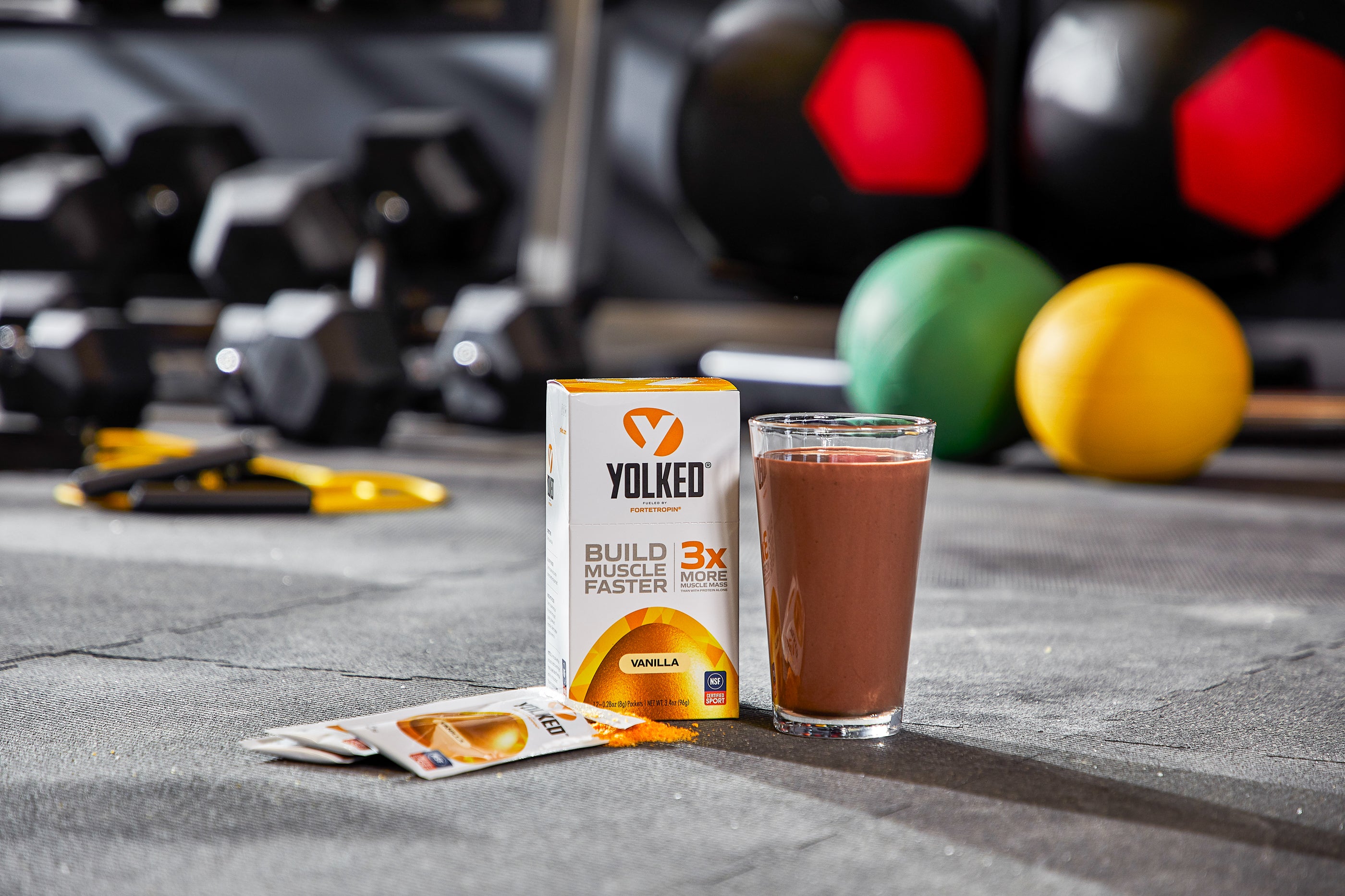 Discount Collection – YOLKED